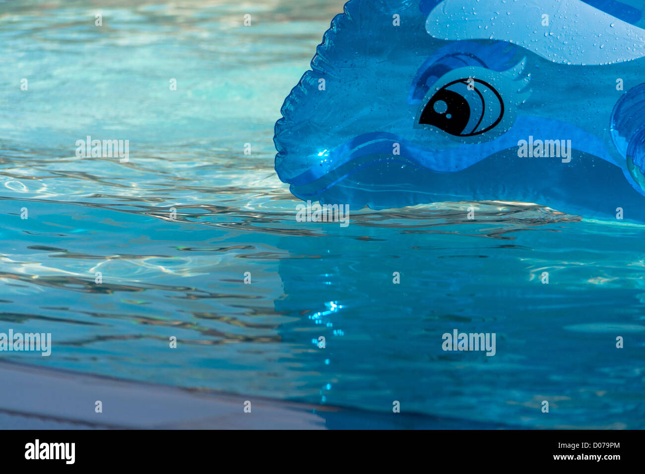 Pool toy hi-res stock photography and images - Alamy