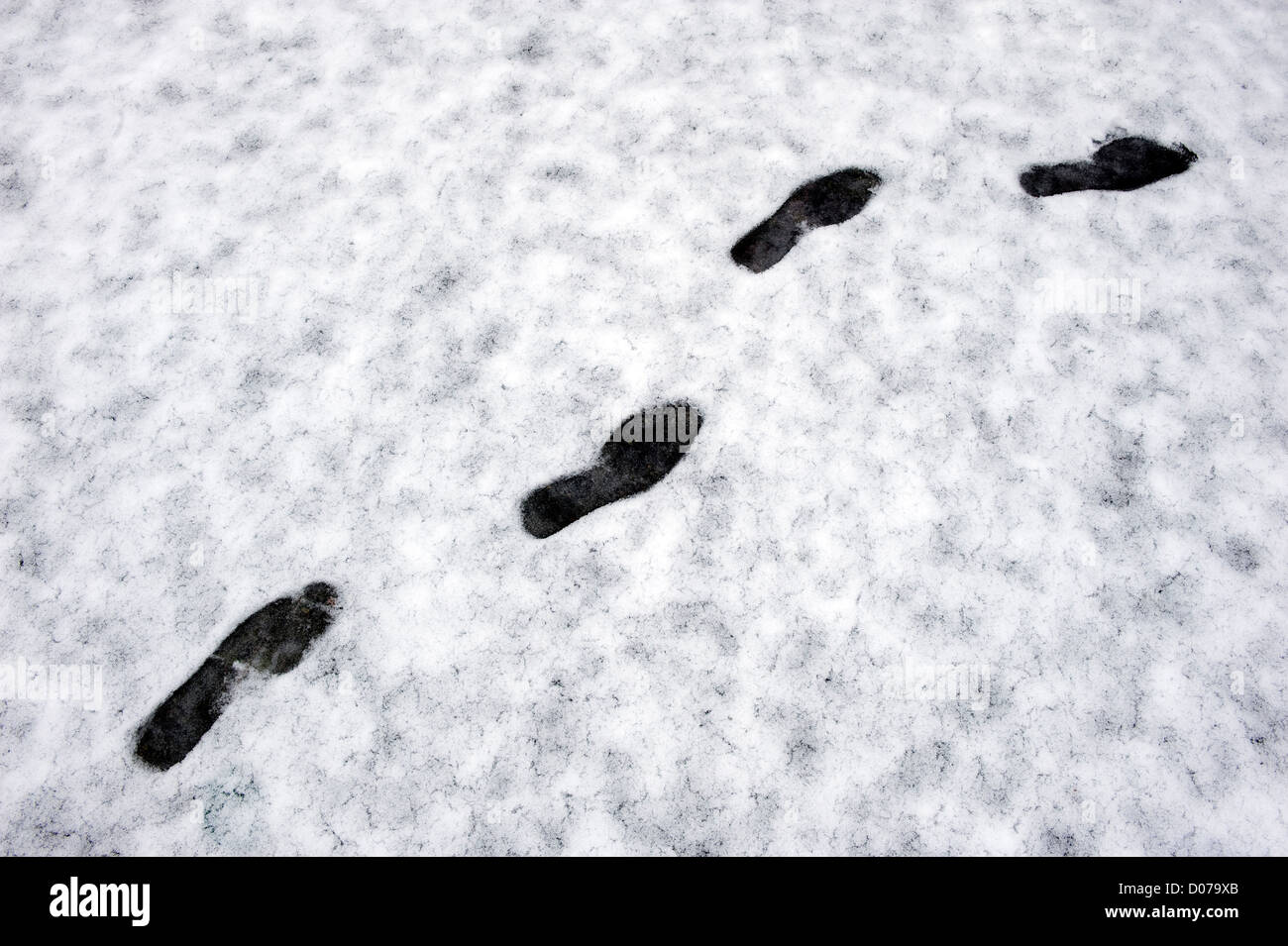 Four footprints in the melting snow Stock Photo - Alamy
