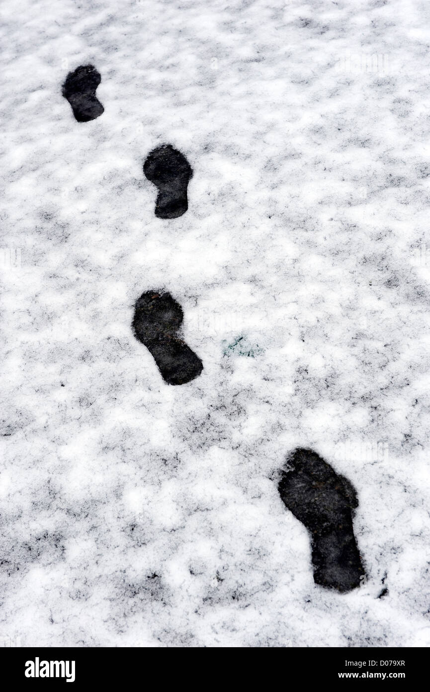 Four footprints in the melting snow Stock Photo - Alamy