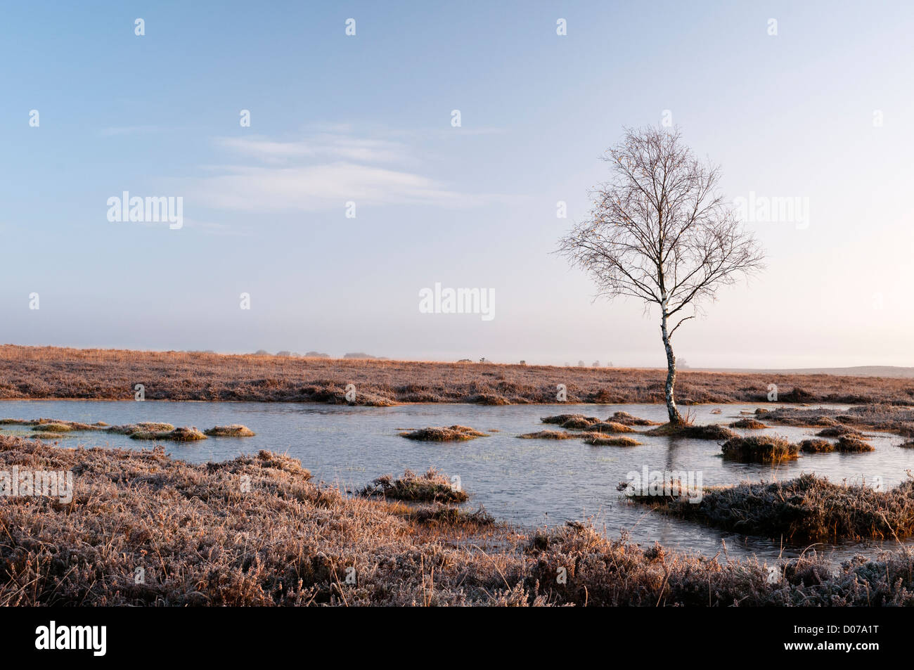 Shatterford hi-res stock photography and images - Alamy