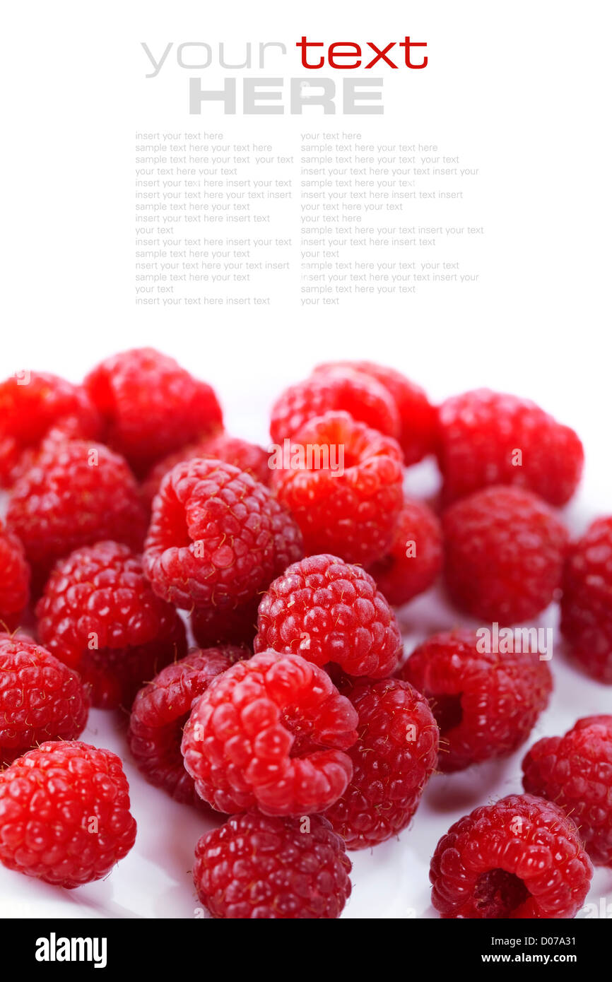 Sample of red berries hi-res stock photography and images - Alamy