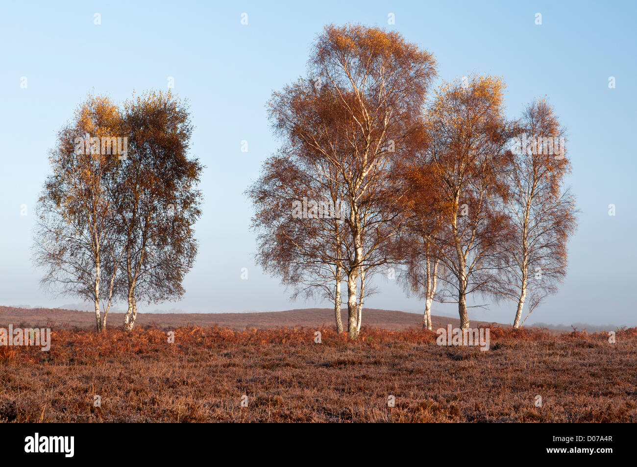 Shatterford hi-res stock photography and images - Alamy