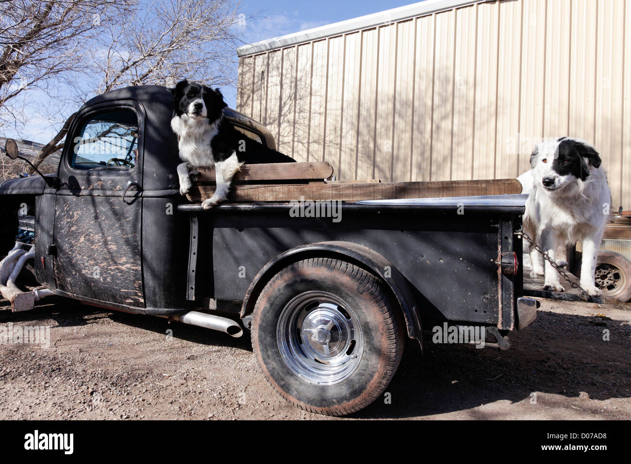 Prewitt hi-res stock photography and images - Alamy