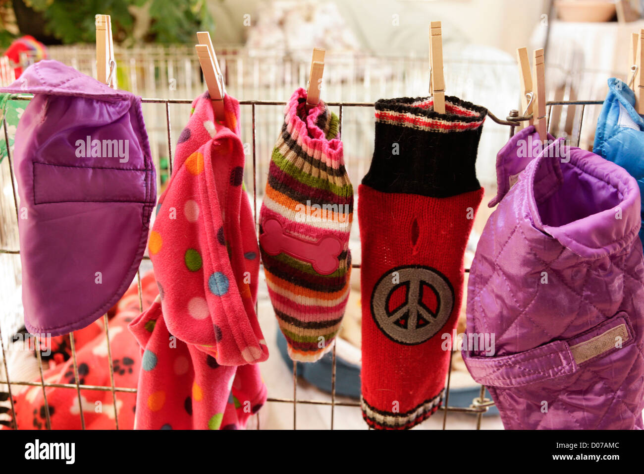 Santa Fe, New Mexico, United States. Kindred Spirits Animal Sancturary ...