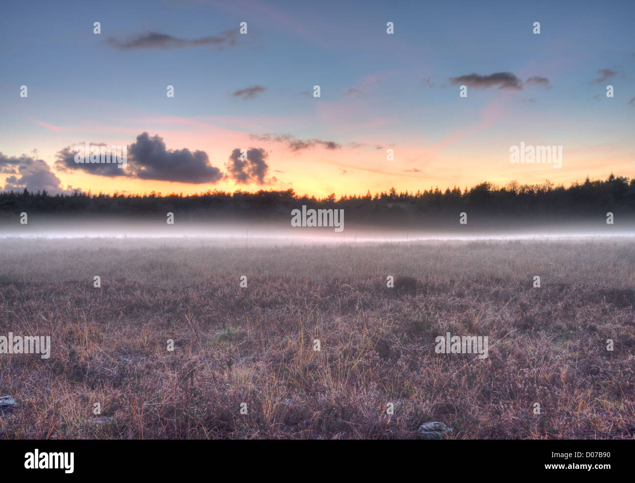 Mist on a moor at sunset Stock Photo - Alamy