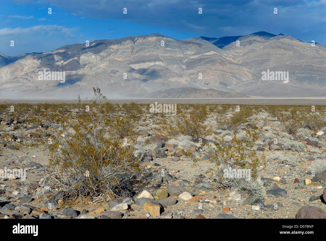 Colored rocks and stones in Death Valley Stock Photo - Alamy