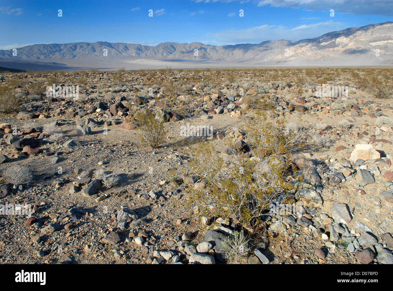 Colored rocks and stones in Death Valley Stock Photo - Alamy