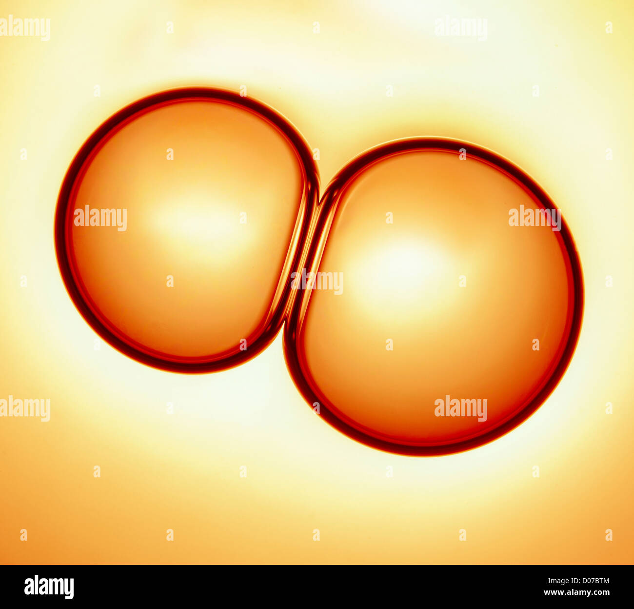 Photo Illustration of cells Stock Photo - Alamy