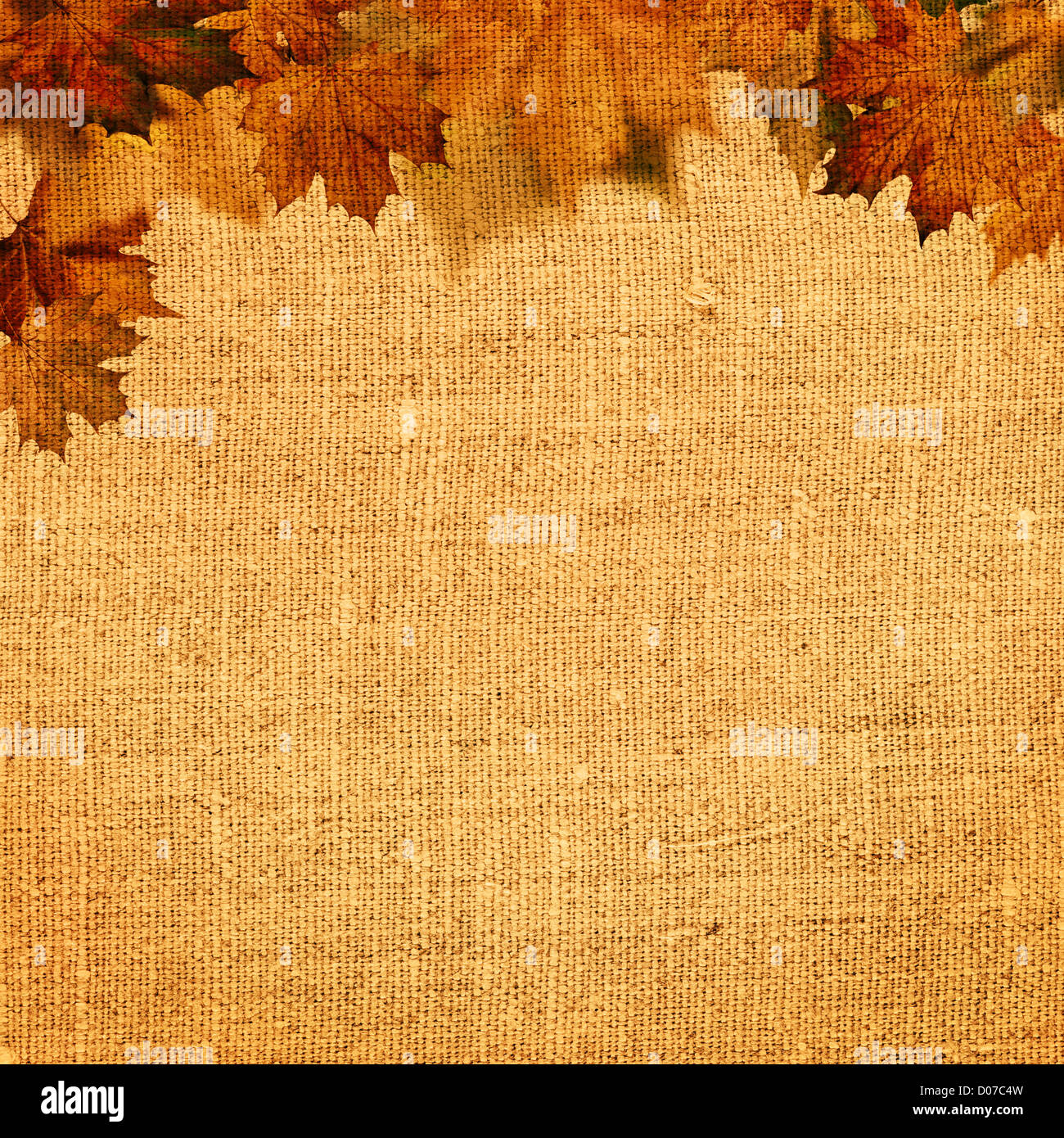 Autumnal abstract still life over hessian background for your design ...