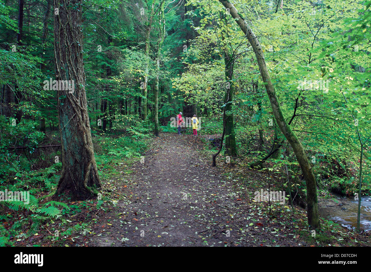 Garries hi-res stock photography and images - Alamy