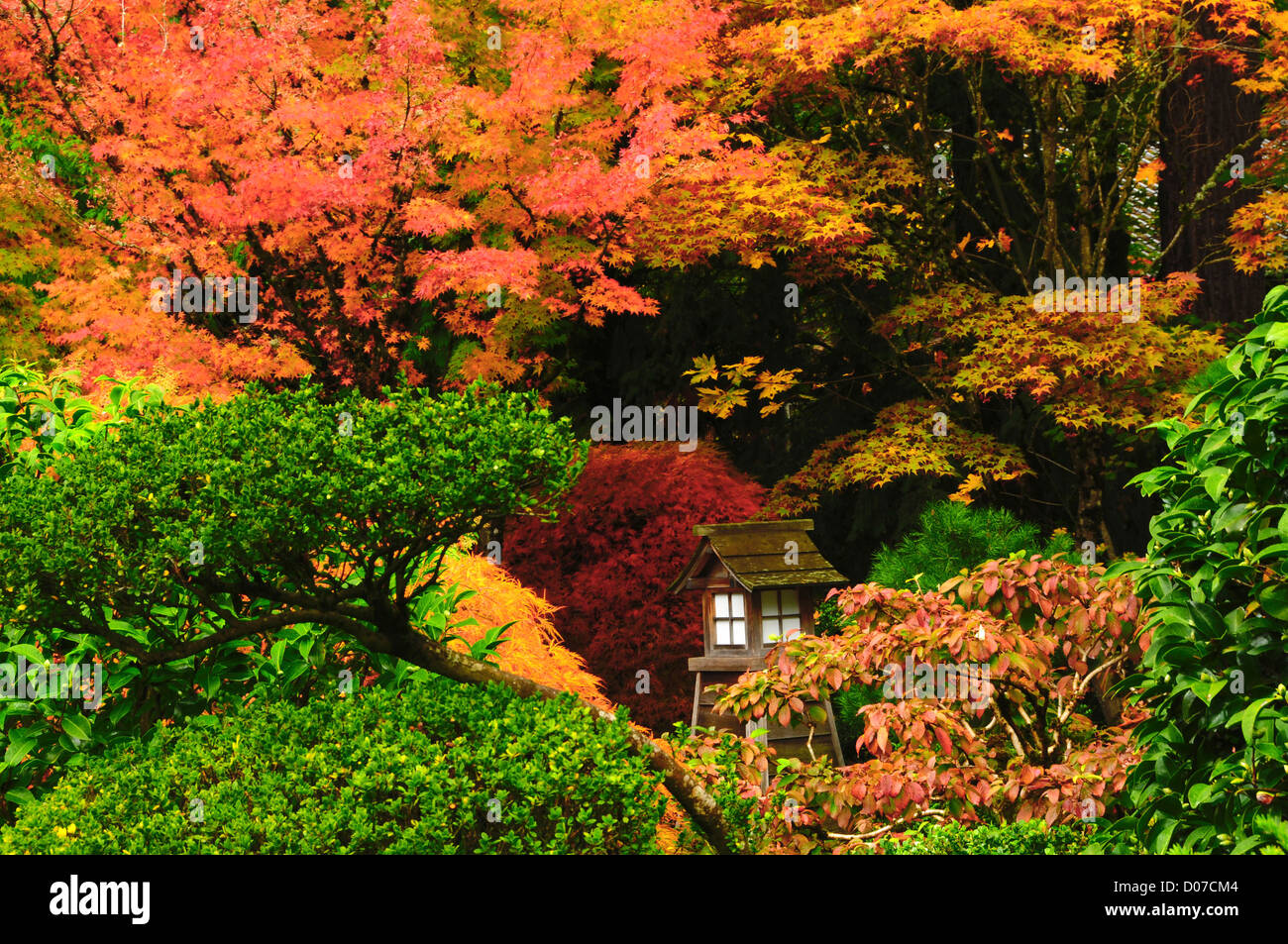 Portland Japanese Garden in Autumn, Portland, Oregon, USA Stock Photo ...