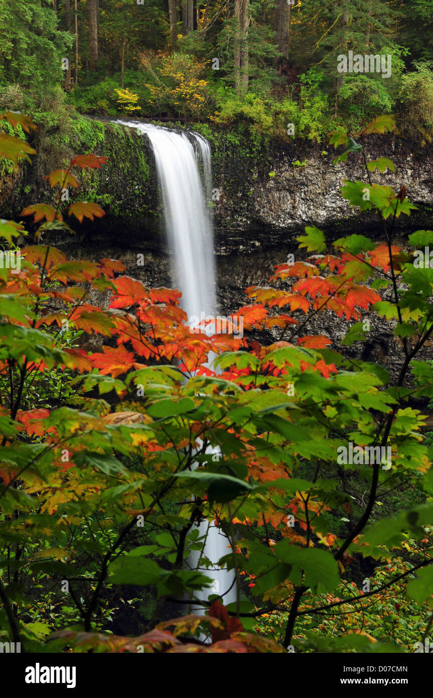 South Falls in Autumn, Silver Falls State Park, Oregon, USA Stock Photo ...