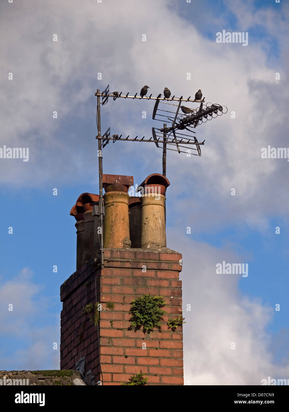 Chimney Stack Stock Photos & Chimney Stack Stock Images - Alamy