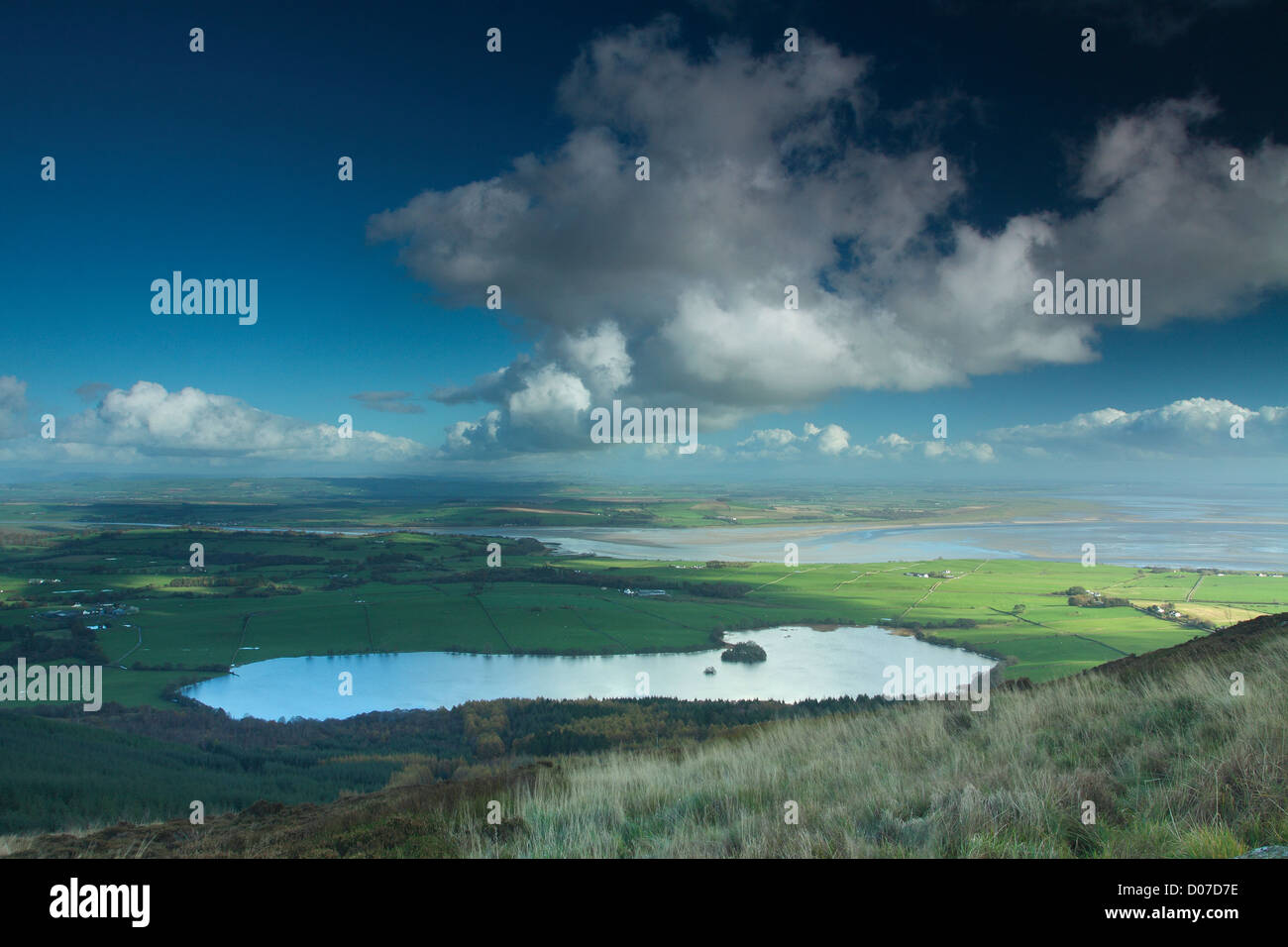 Nith estuary hi-res stock photography and images - Alamy
