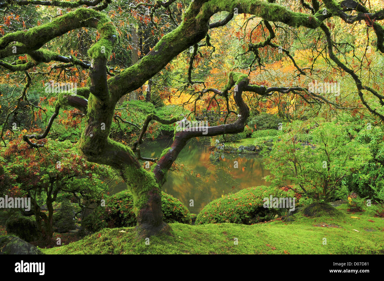 Portland japanese garden hi-res stock photography and images - Alamy