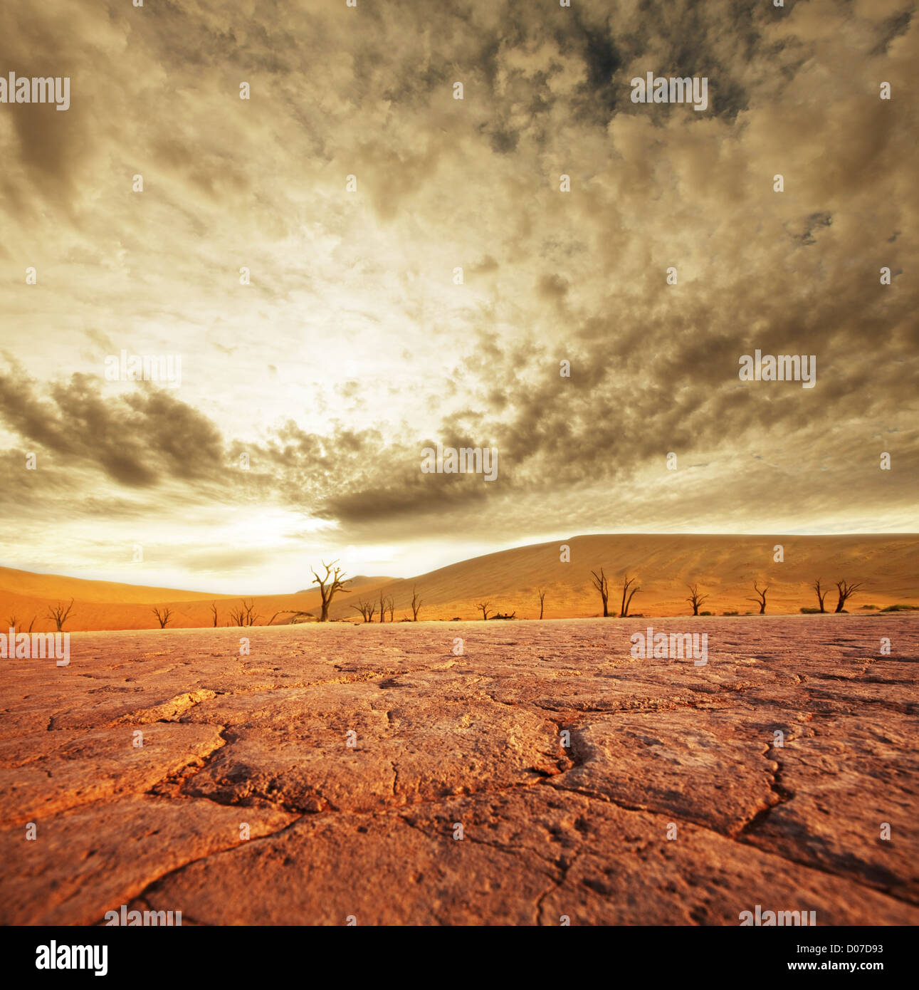 Dead valley in Namibia Stock Photo - Alamy