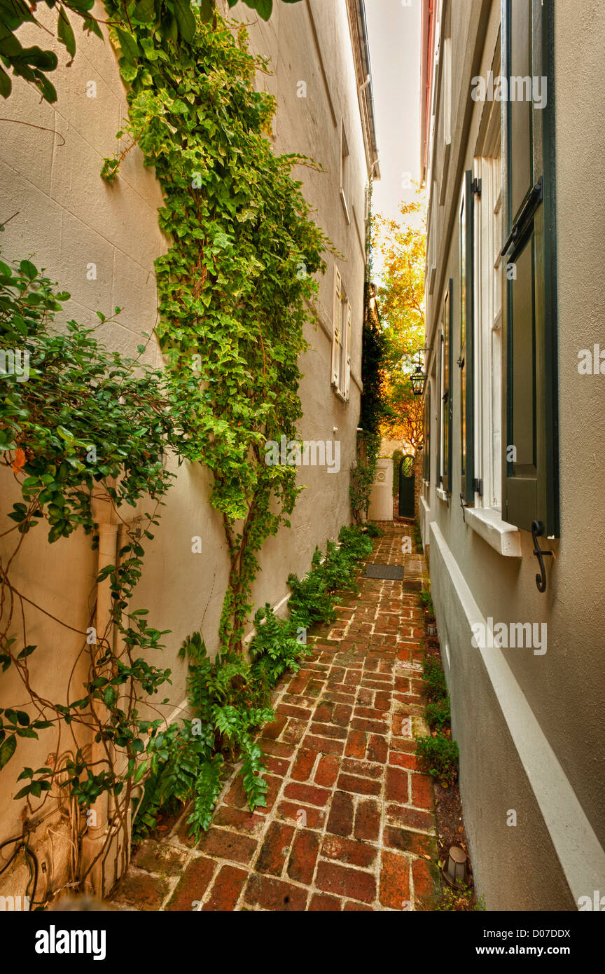 Trellis windows hi-res stock photography and images - Alamy