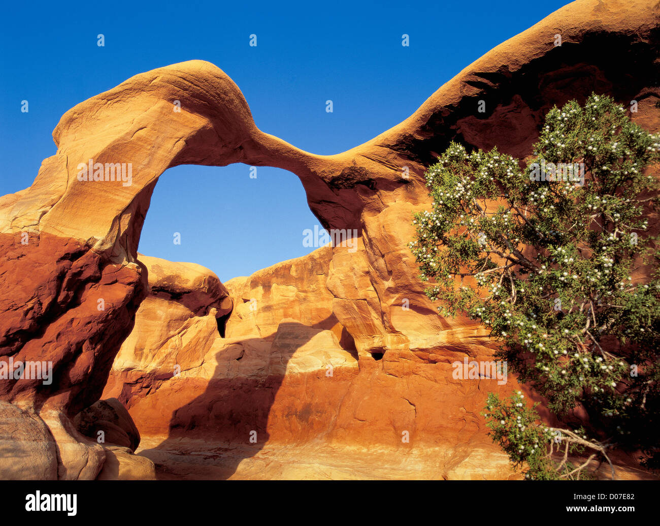 Metate and mano hi-res stock photography and images - Alamy