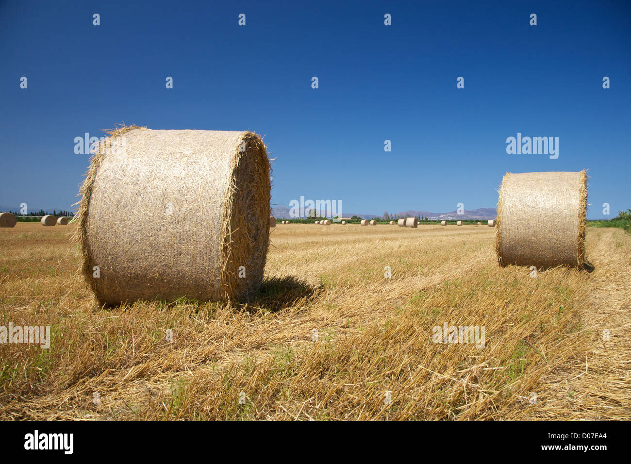 hay fields at the country in Girona Catalunya Spain Stock Photo - Alamy