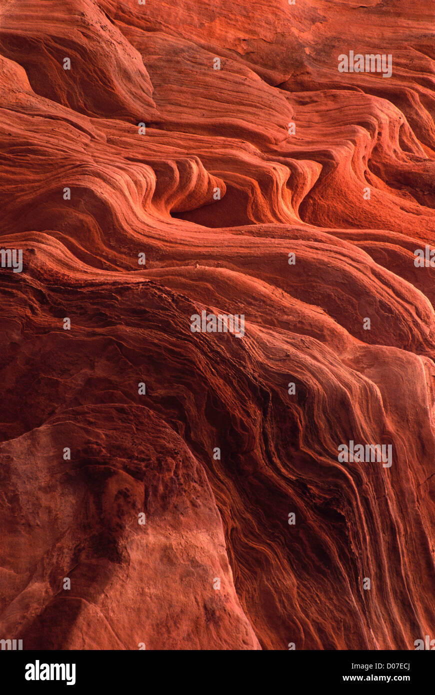 Time worn ceiling of a red rock niche in the Vermillion Cliffs-Paria ...