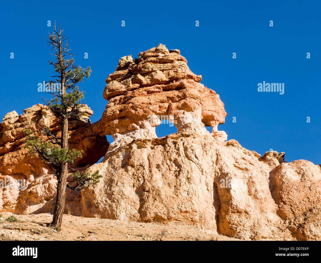 Limestone formation. Bryce Canyon National Park. Utah. US Stock Photo ...