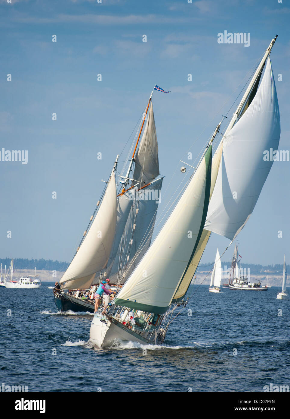 Racing Sailing Yacht