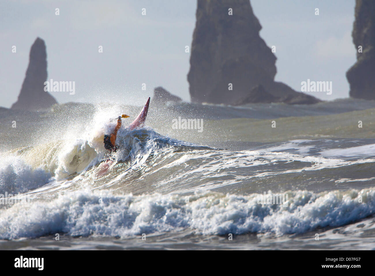 Pummel High Resolution Stock Photography and Images - Alamy