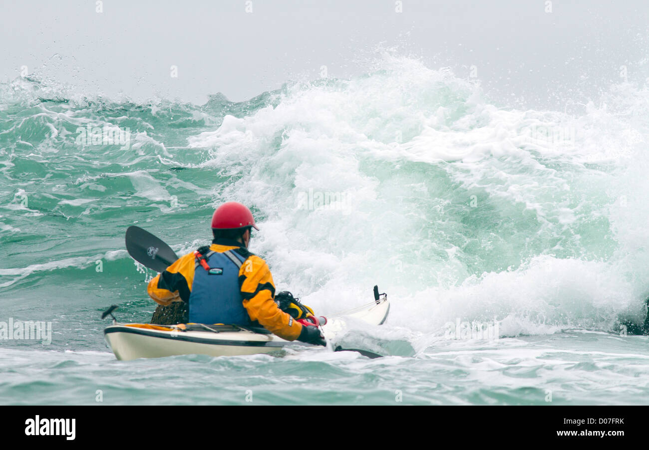 USA, Washington state, Olympic National Park. Male sea kayaker and ...