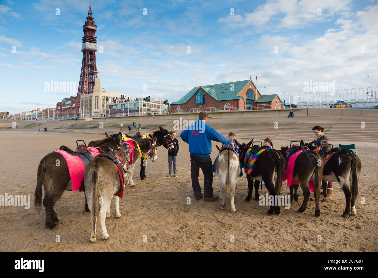 Donkeys Beach Ride Blackpool High Resolution Stock Photography and ...