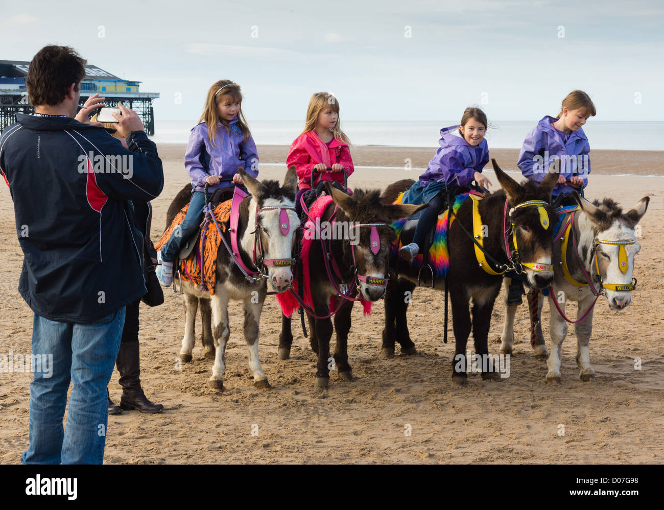 Donkeys Beach Ride Blackpool High Resolution Stock Photography and ...