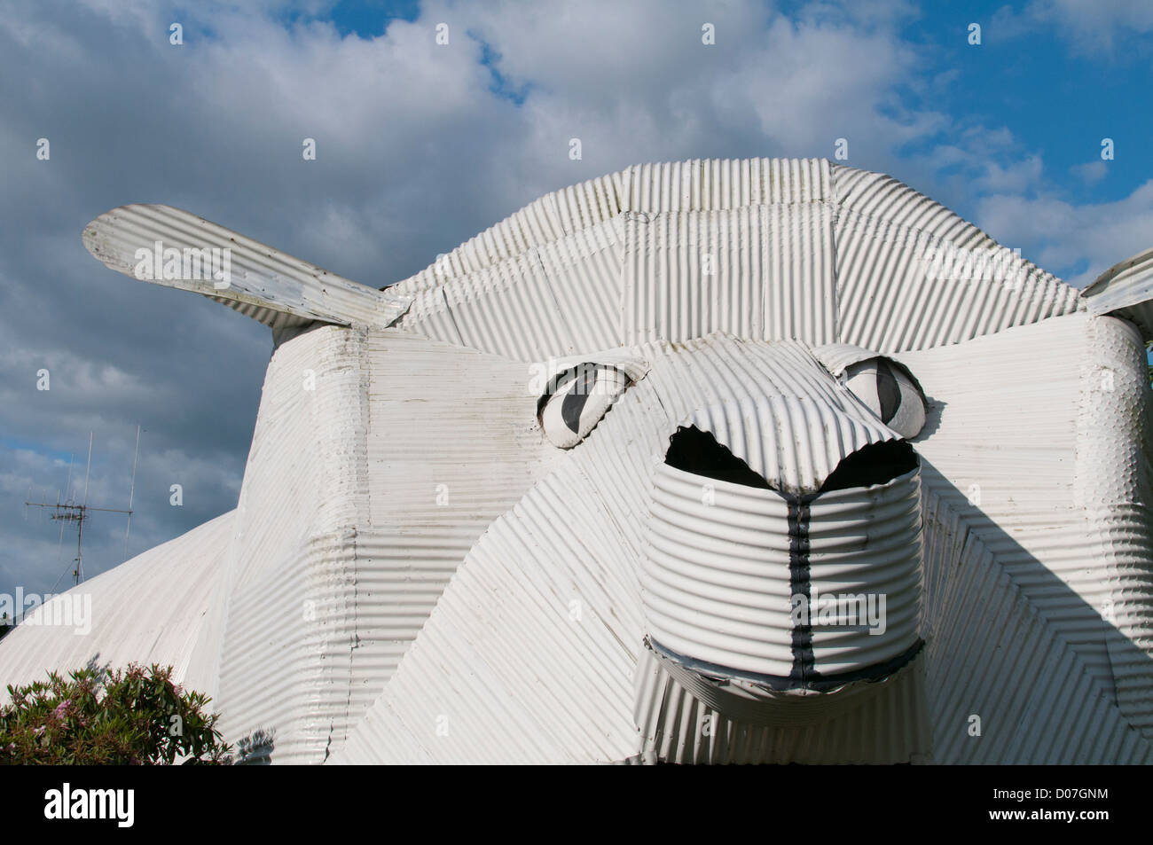 Tirau Big Dog Information i-SITE Visitor Centre shaped as a large ...