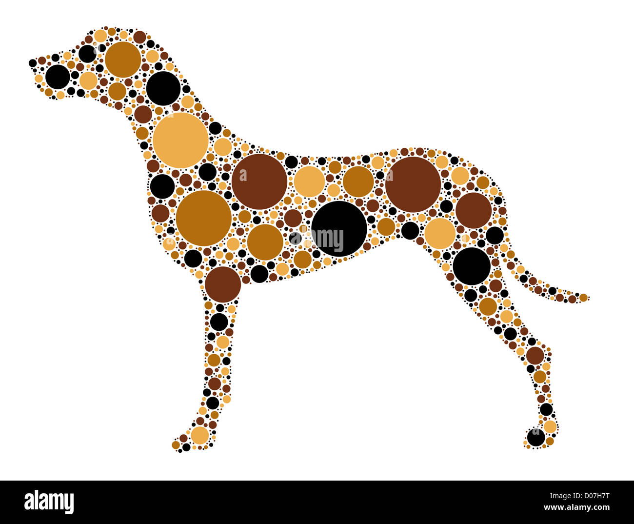 Dotted dog hi-res stock photography and images - Alamy