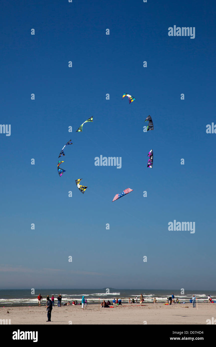 Quad Line Stunt Kites