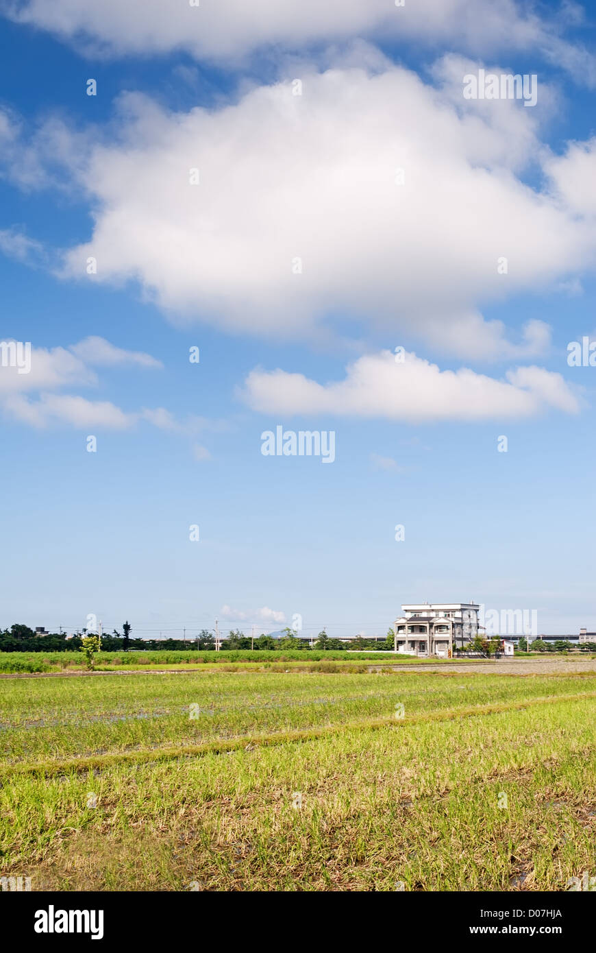 Beautiful rural scenery of farm under blue sky and white clouds in ...