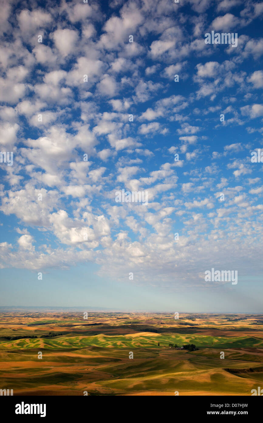 WA, Whitman County, Palouse Farmland, view from Steptoe Butte Stock ...
