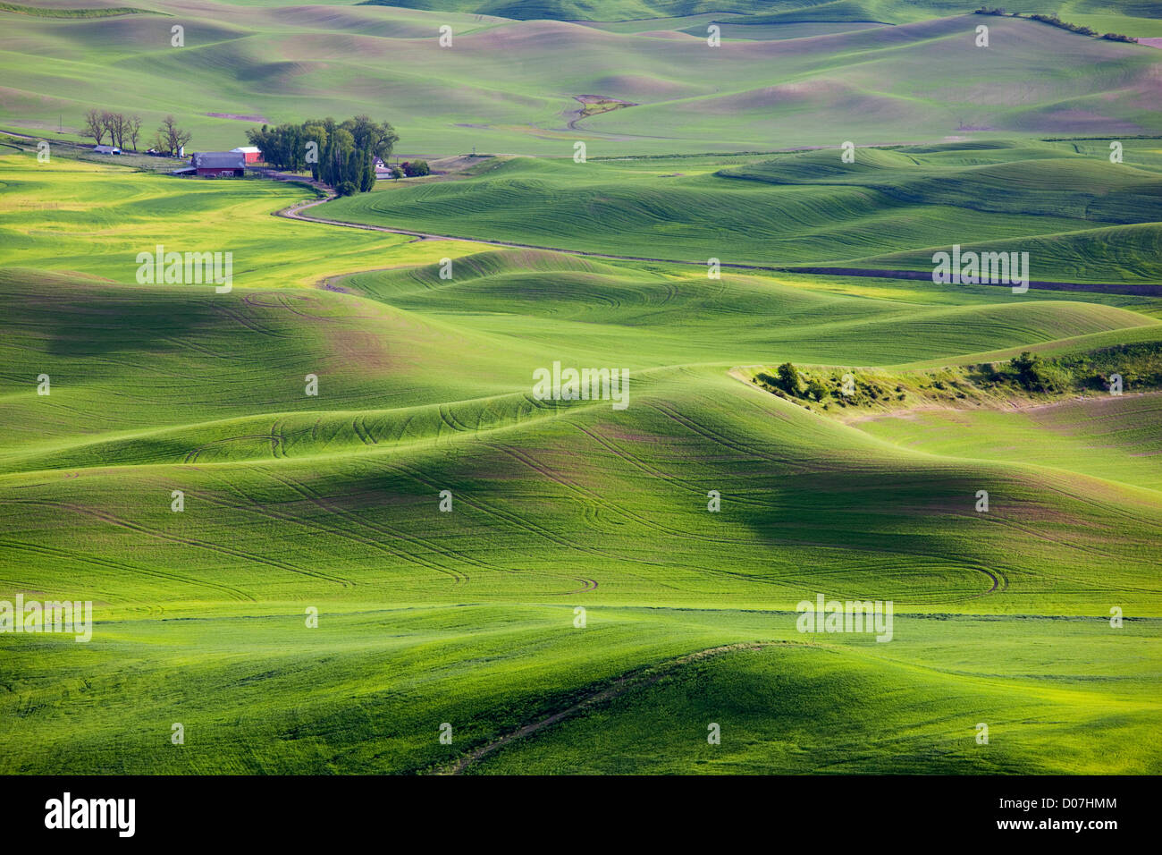 WA, Whitman County, view of farmland from Steptoe Butte Stock Photo - Alamy