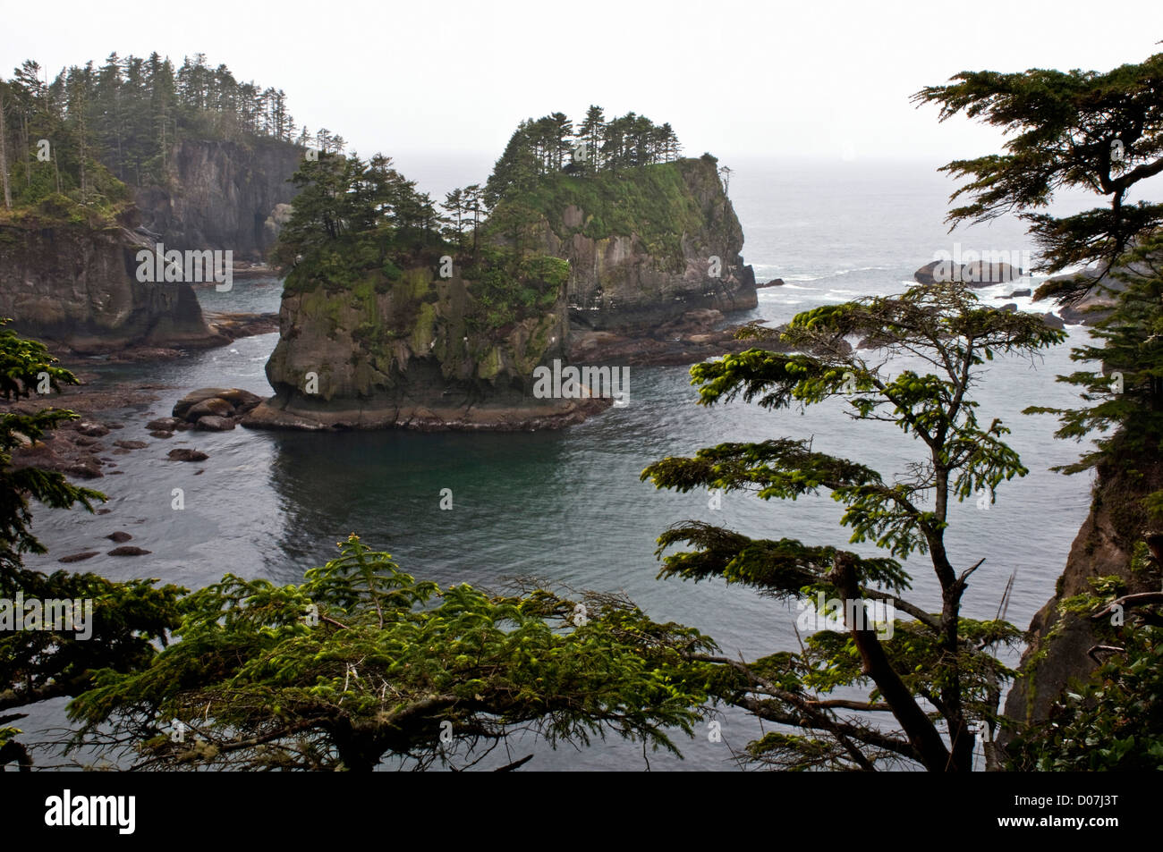 Neah bay washington state hi-res stock photography and images - Alamy