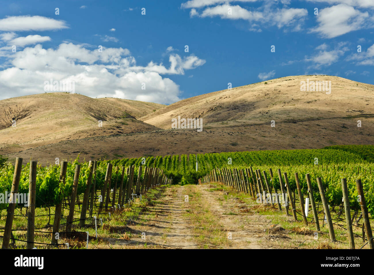 Yakima valley hi-res stock photography and images - Alamy