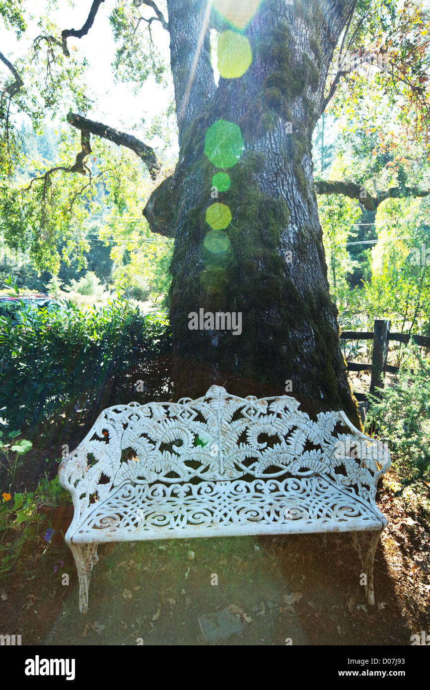 bench in sunny park Stock Photo - Alamy