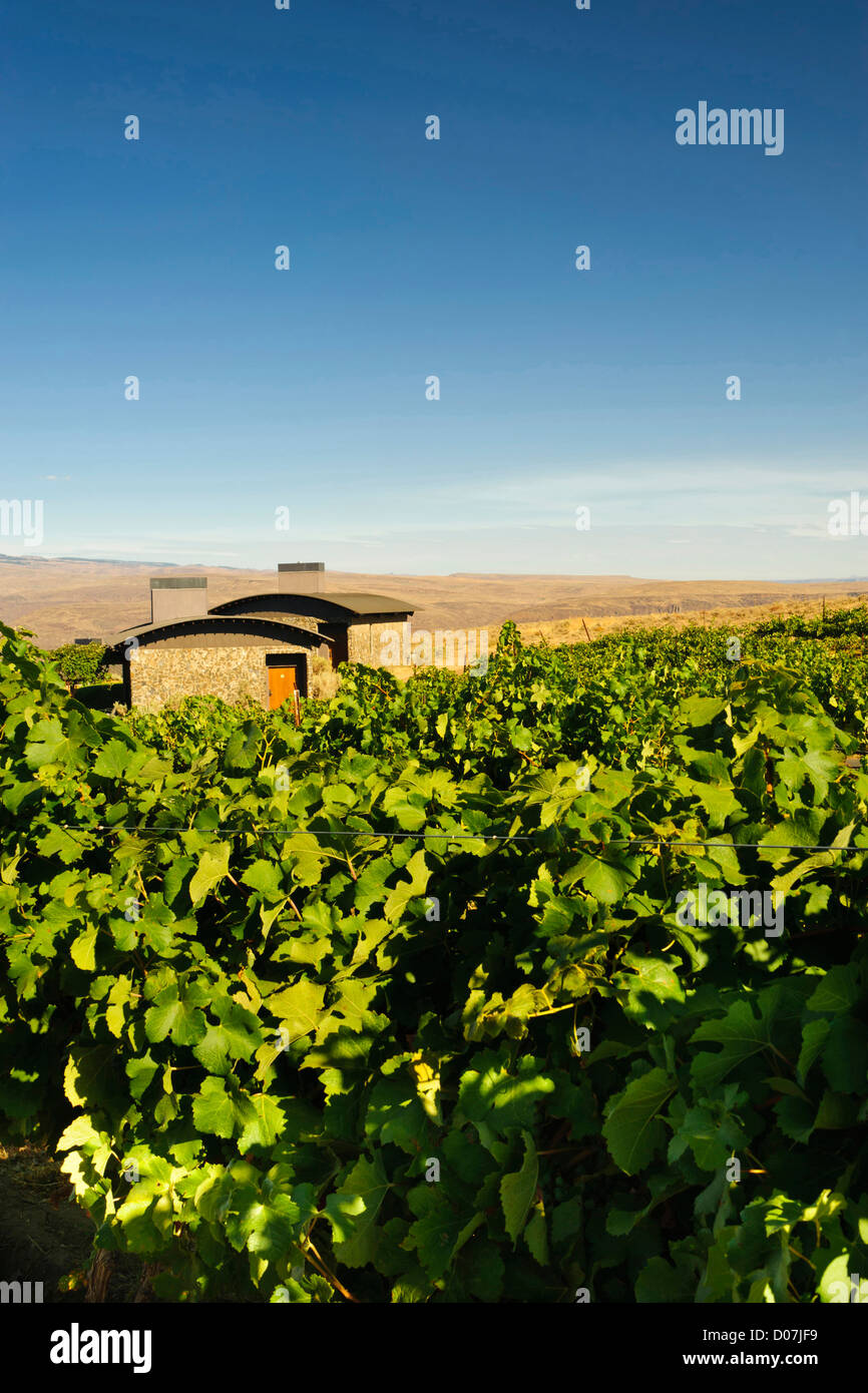 Cave b estate winery hi-res stock photography and images - Alamy