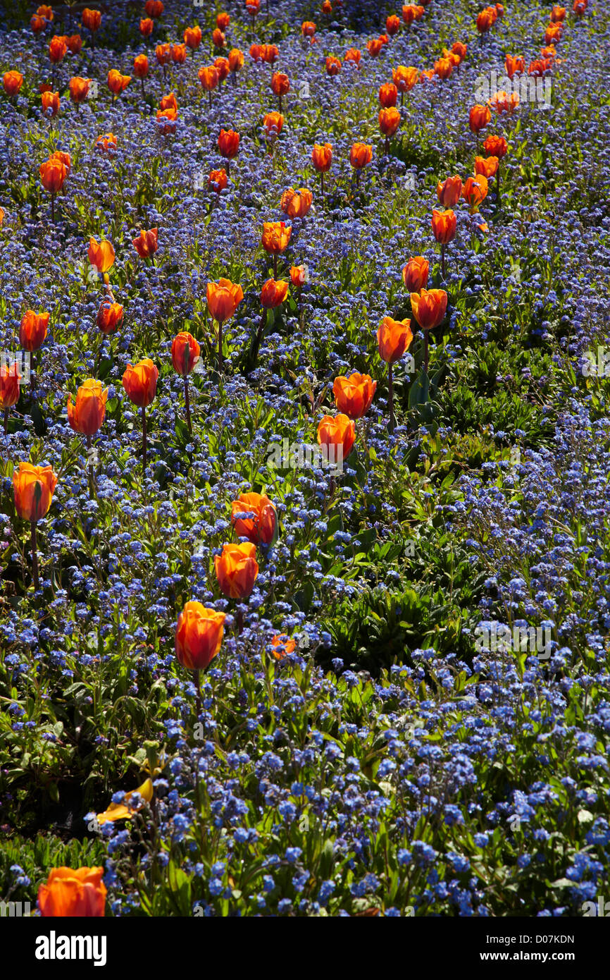 Ashburton new zealand hi-res stock photography and images - Alamy
