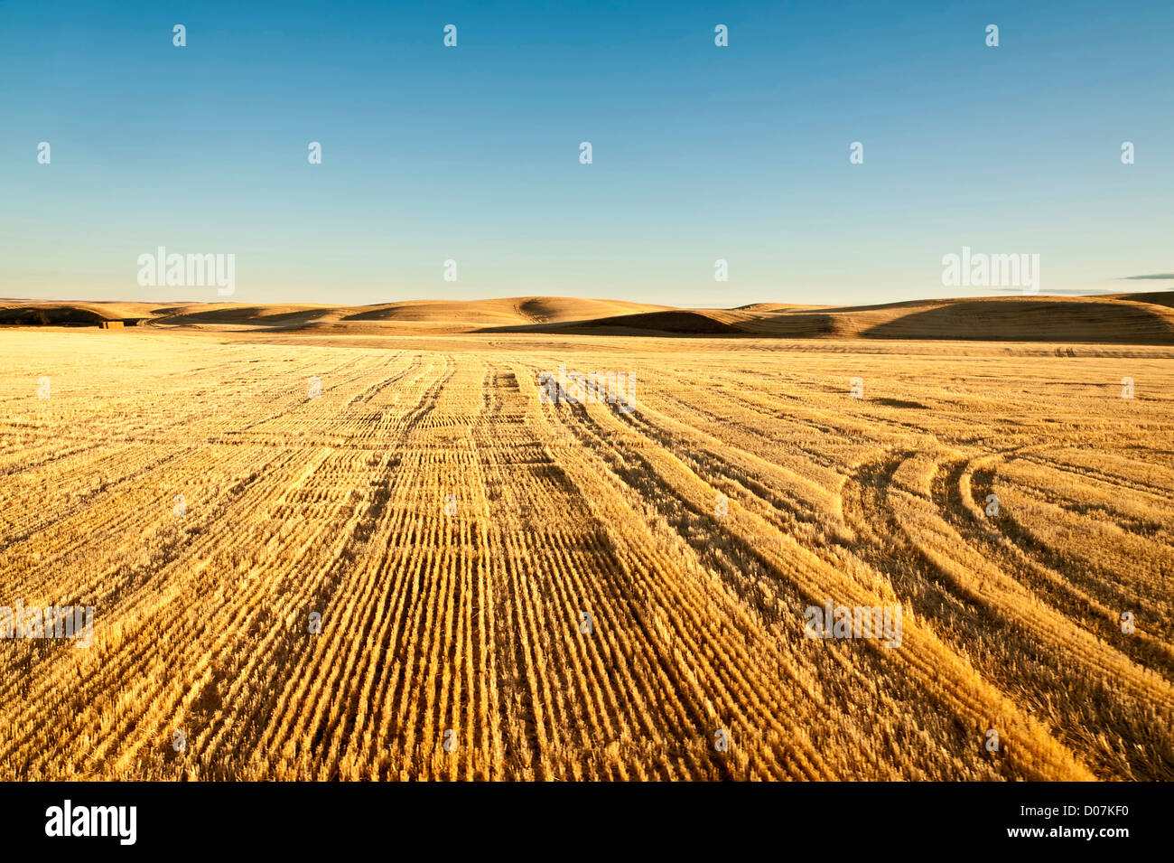 USA, Washington, The Palouse. Wheat fields of the Palouse photographed ...