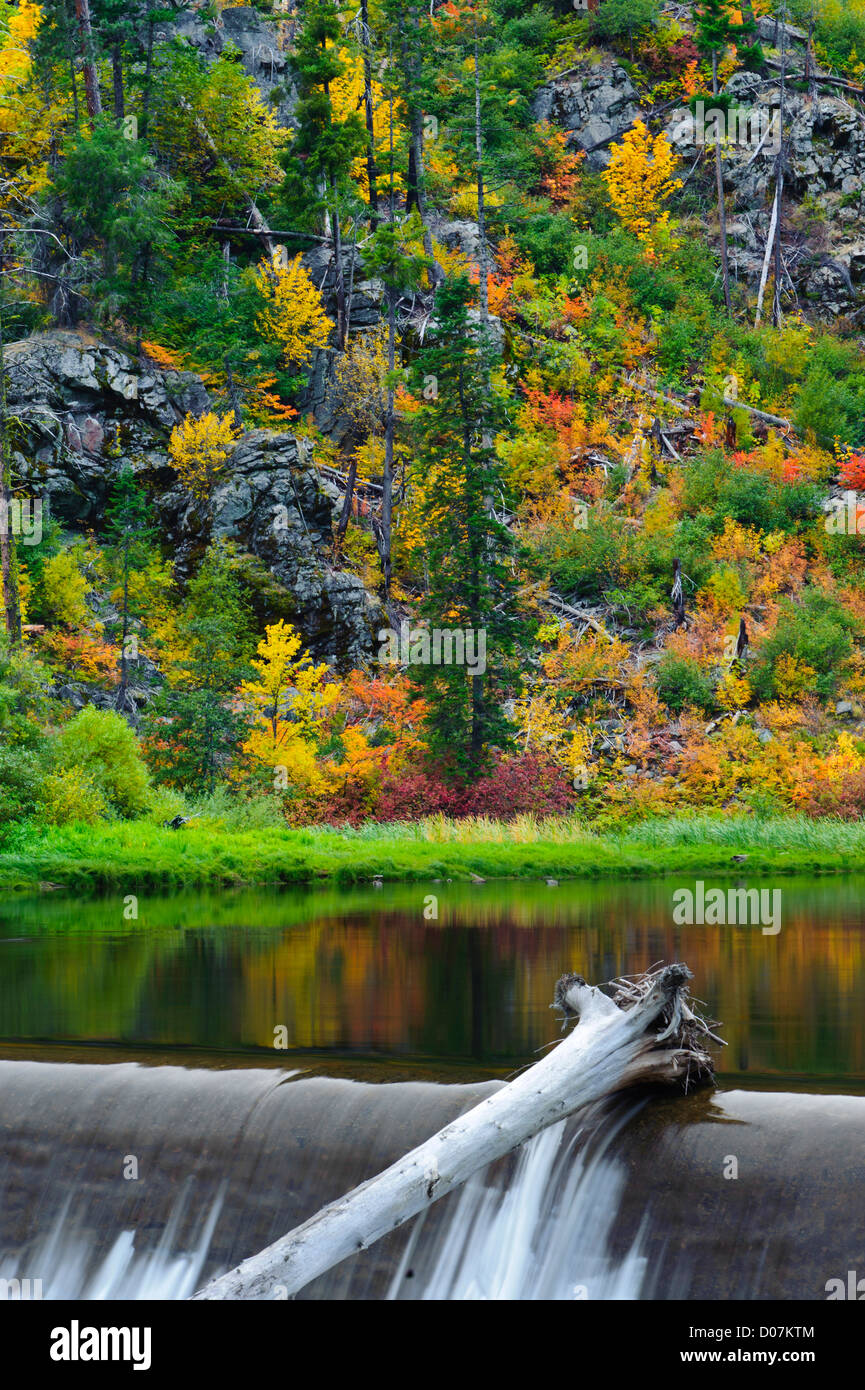 USA, Washington, Wenatchee. Fall color along the Wenatchee River near ...