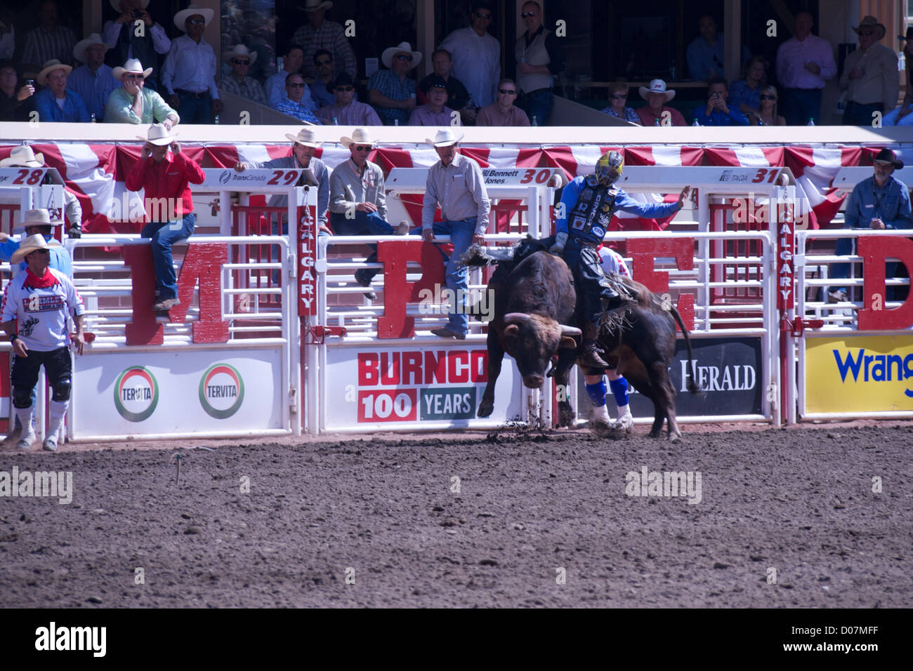A rider holds onto his bull during the Calgary stampede event of July ...