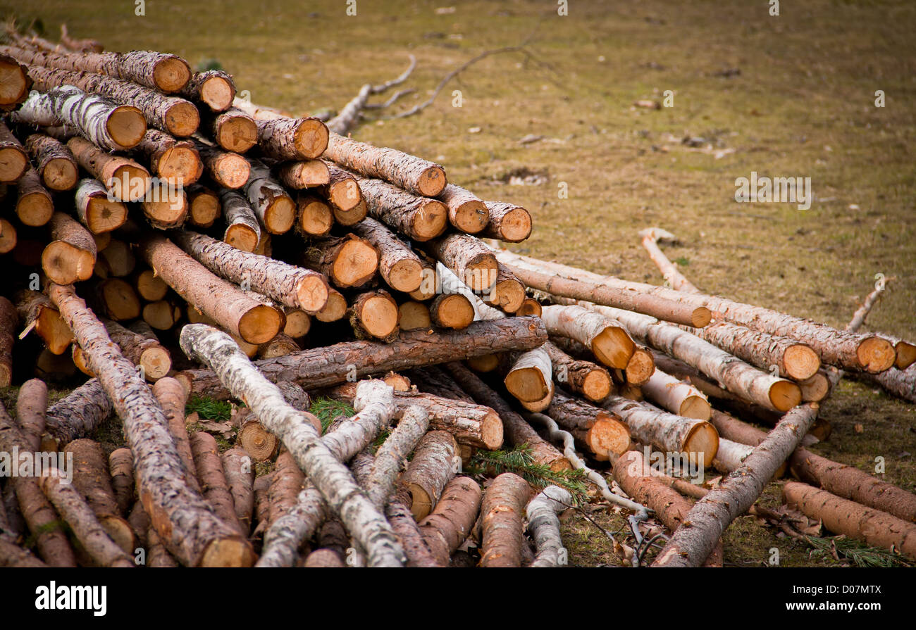 Logs lying on a field in Sweden Stock Photo - Alamy