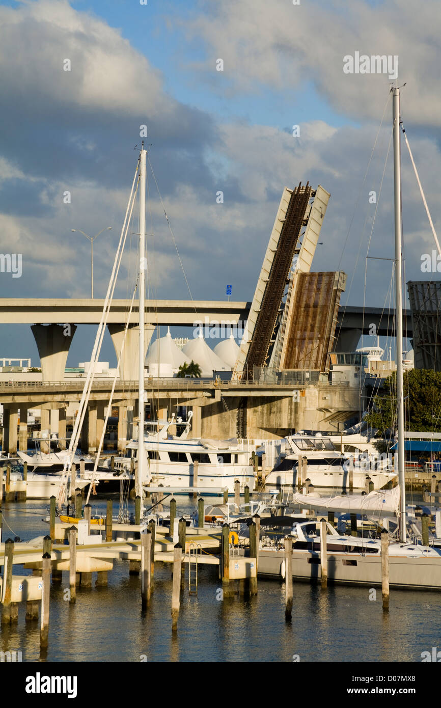 Bayside Marina,Miami, Florida, USA Stock Photo - Alamy