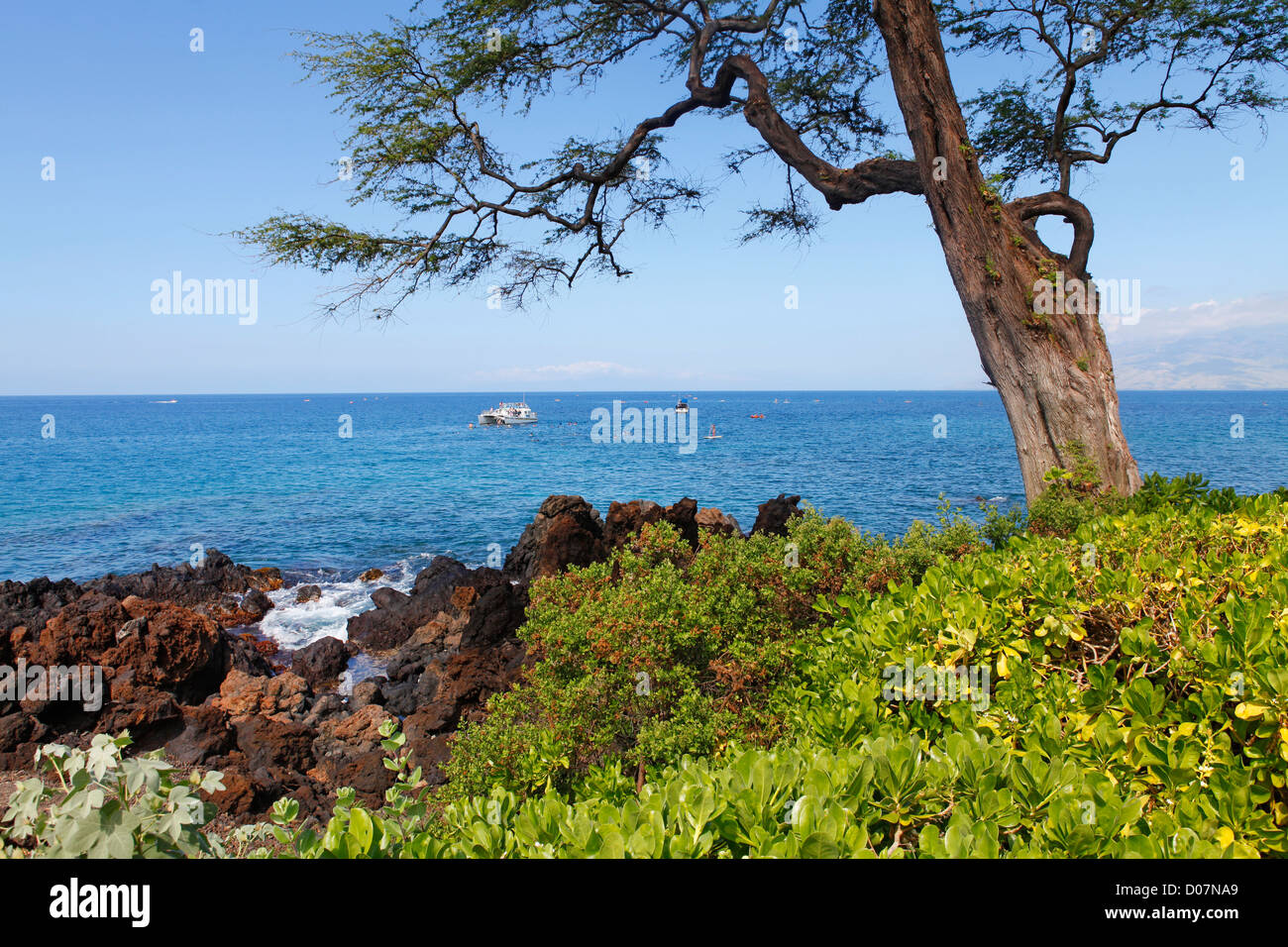Tropica hi-res stock photography and images - Alamy