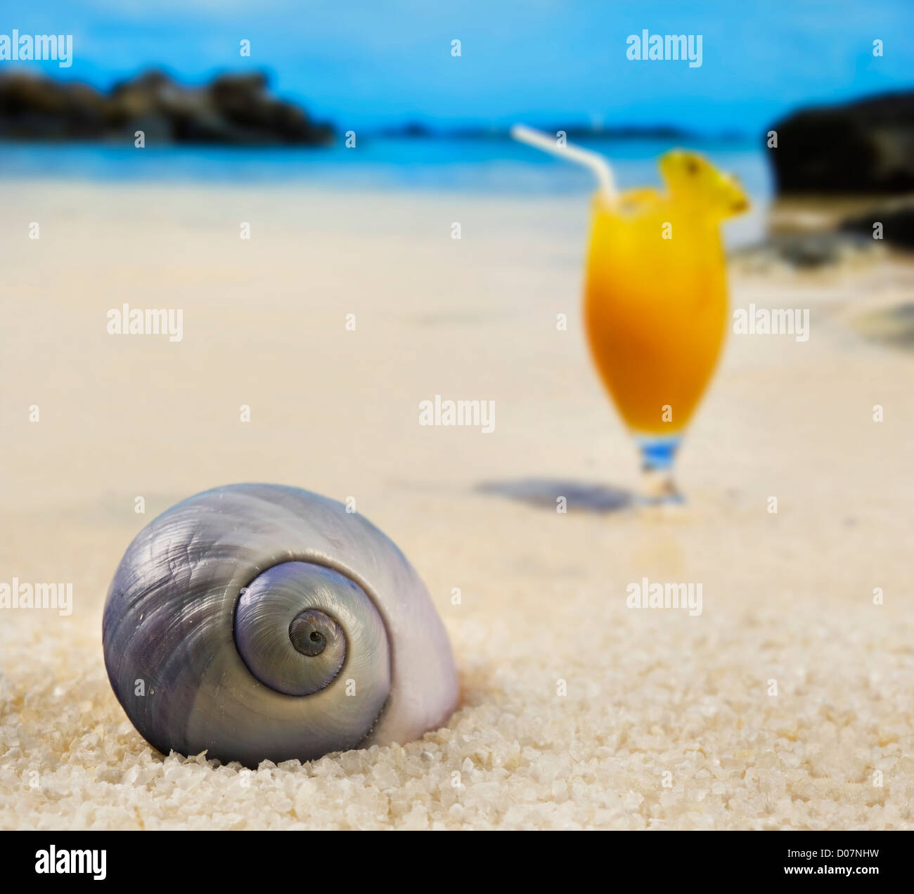 Beautiful sea shell on a tropical island beach with fruit cocktail in ...