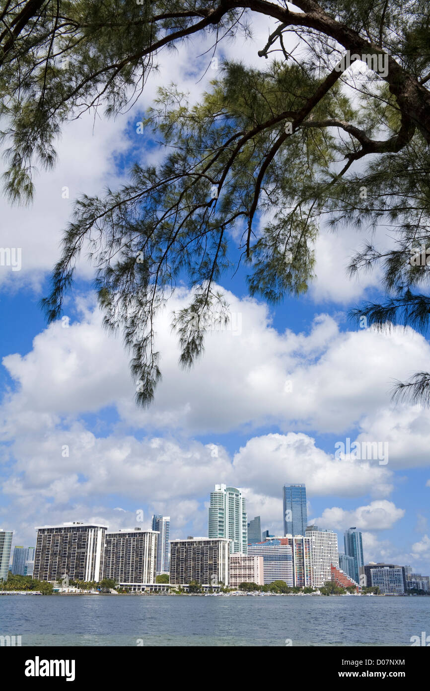 Miami skyline viewed from Key Biscayne,Florida,USA Stock Photo - Alamy