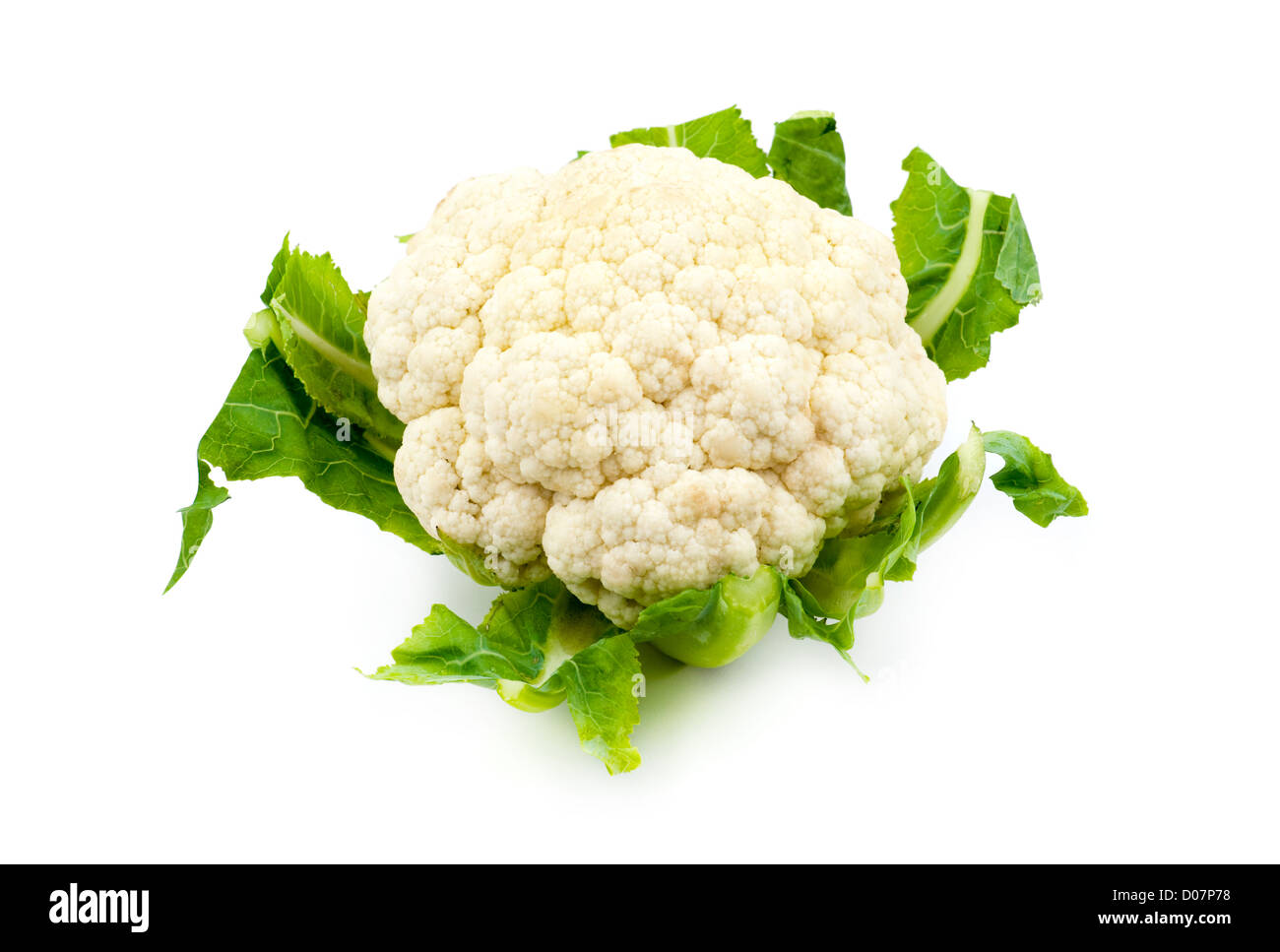 Studio shot of an organic growth cauliflower isolated on white Stock ...